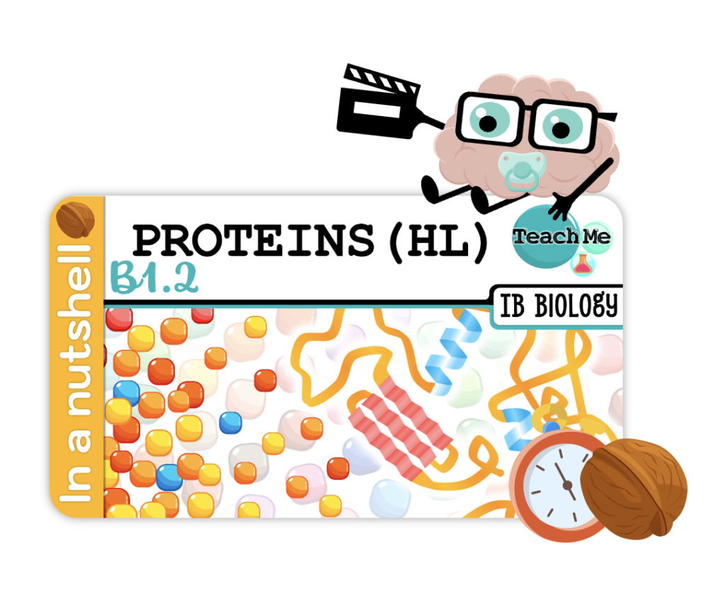 B1 Molecules | TeachMe